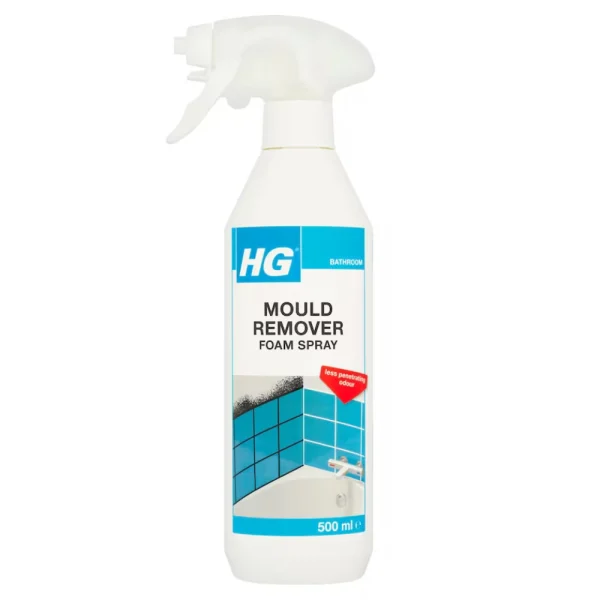 Hg Hagesan Mould Remover Foam Spray 0.5L – QDS Direct